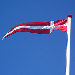 Dannebrogsstander - specielt egnet til større flagstænger - køb online